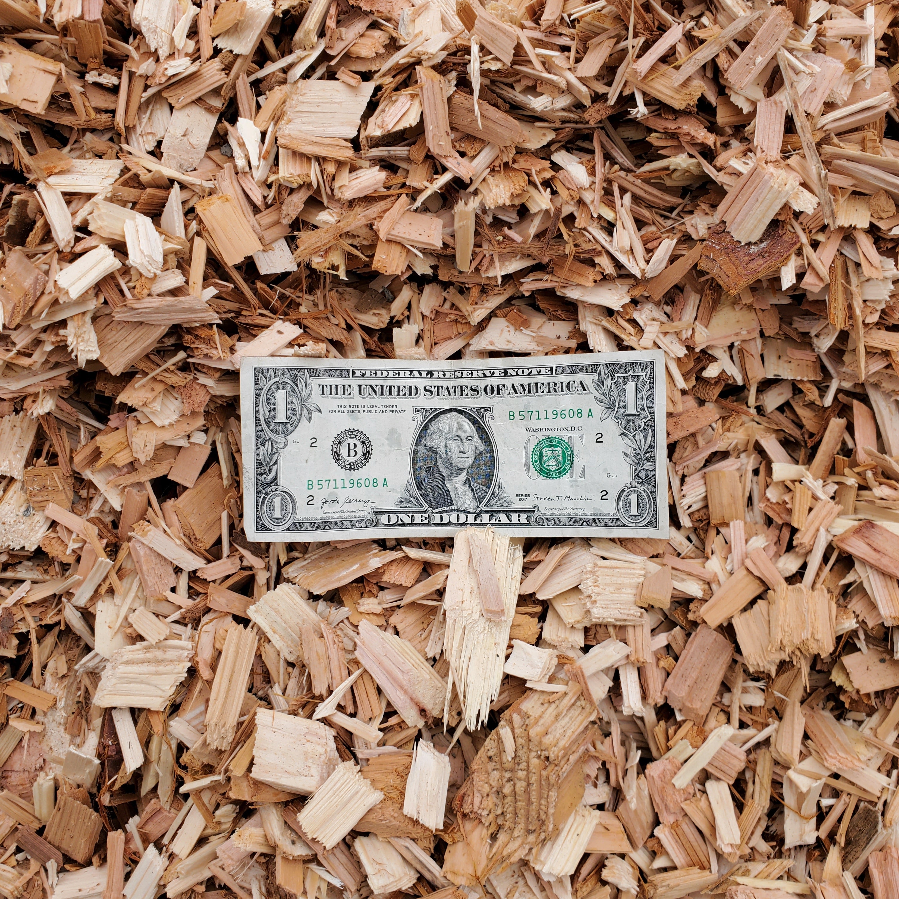 Cedar Chips – Dirt Exchange